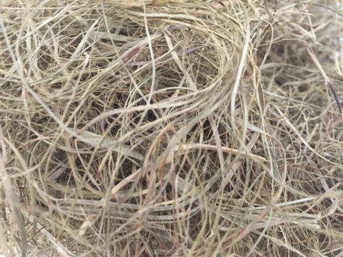 Crin végétal, animal, elancrin - Crin végétal